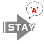 エフィッシモ キャピタル マネージメント ピーティーイー エルティーディー(Effissimo Capital Management Pte ...